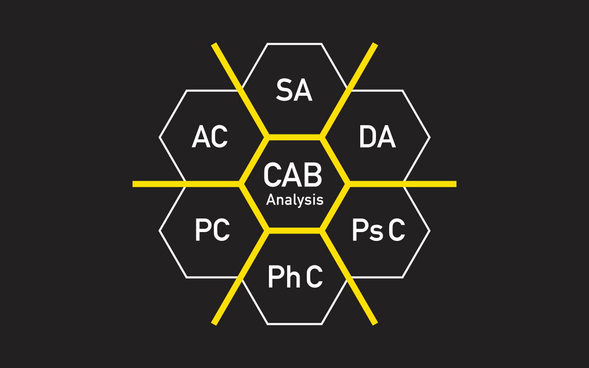 CAB Analysis – Crowd Area and Behaviour Influence Analysis - KOKO Crowd ...